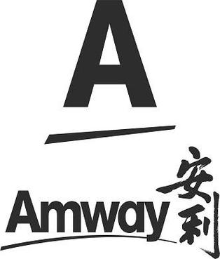 amway中文意思截图