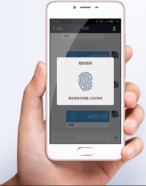 小米指纹支付fido是什么截图