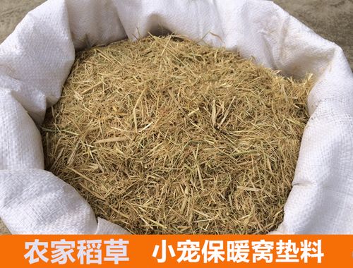 鹦鹉窝里面垫点什么图标