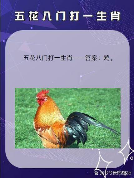 小桔灯是什么生肖截图
