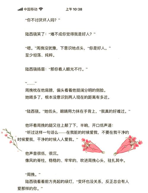 坠落阿敏小说免费阅读图标