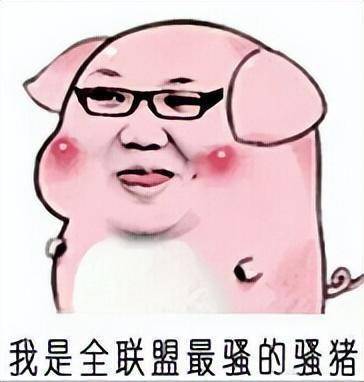 骚猪是什么意思图标