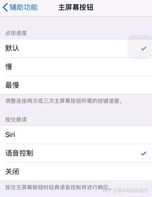 苹果11麦克风设置在哪里图标