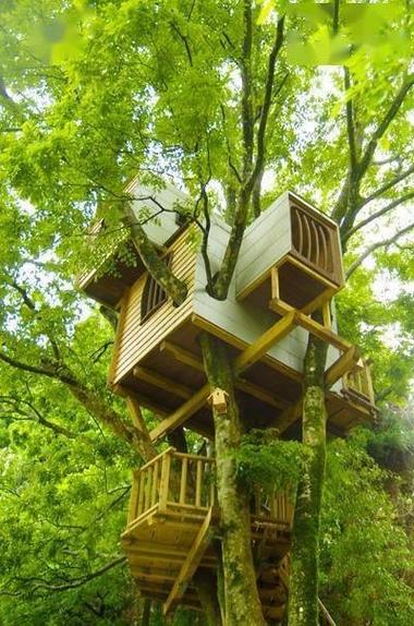 树屋怎么建造图标