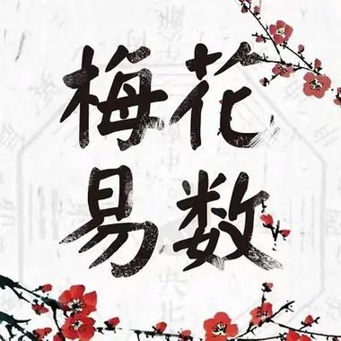 梅花易数每日一占卜图标