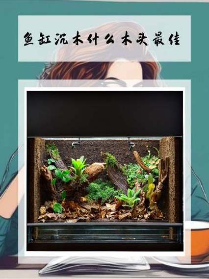 鱼缸沉木什么木头最佳