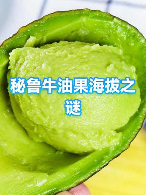 牛油果的作用图标