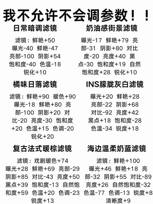 videostar滤镜教程截图