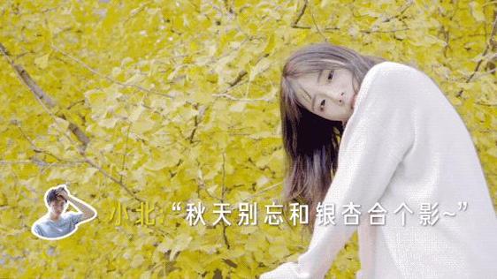 不完美女友小说免费阅读图标