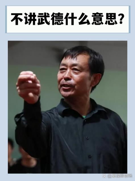 马保国的含义图标