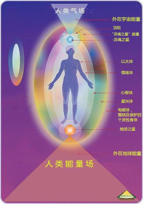 能量的生物学意义图标