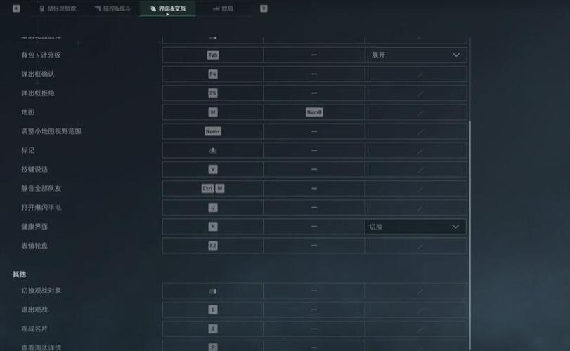 辐射4一按键盘就弹出图标