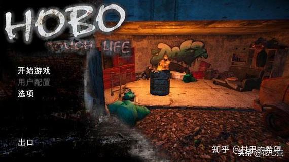 hobotoughlife多少钱截图