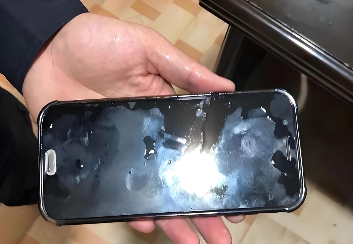 手机掉水里是福还是祸图标