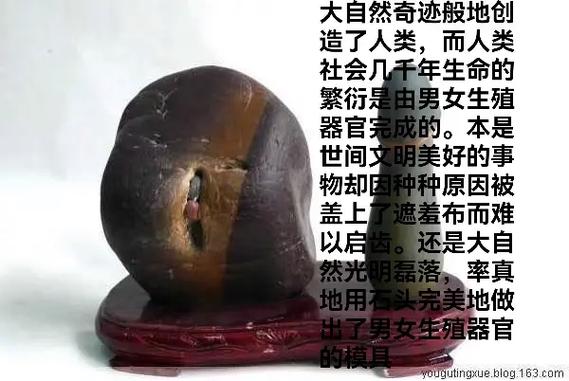 进化奇石给谁用最好图标