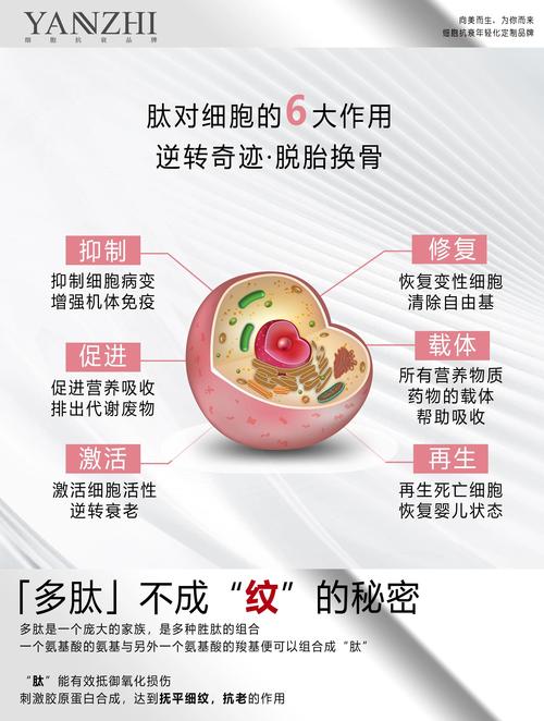 博尔肽一般需要做几次截图