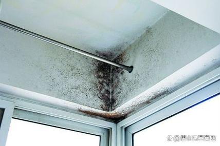 屋顶发霉怎么处理图标