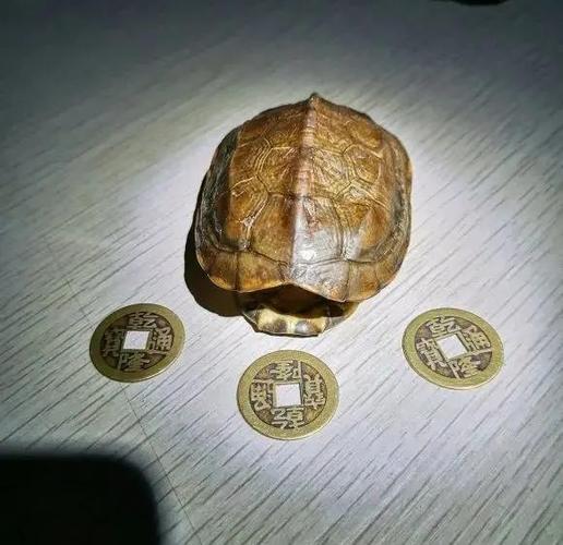 占卜有副作用吗截图