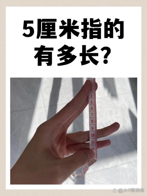 标准5厘米参照物图片图标
