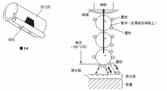 网页下拉选项显示不出来图标