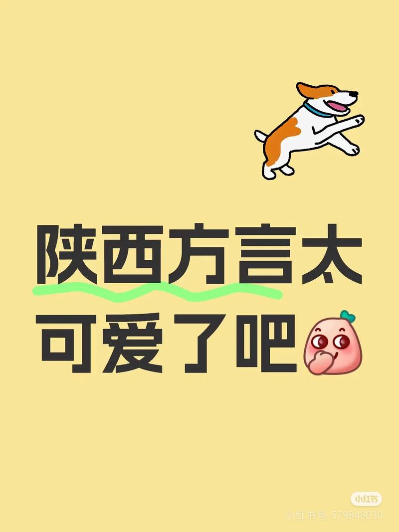 陕西方言语音转换器图标