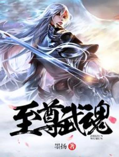 至尊武魂电视动漫图标