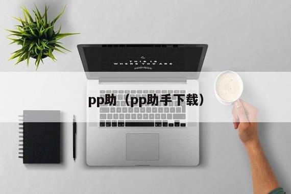 PP平台是干嘛的图标