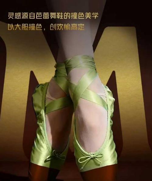变小被扔入舞蹈鞋里的小说图标