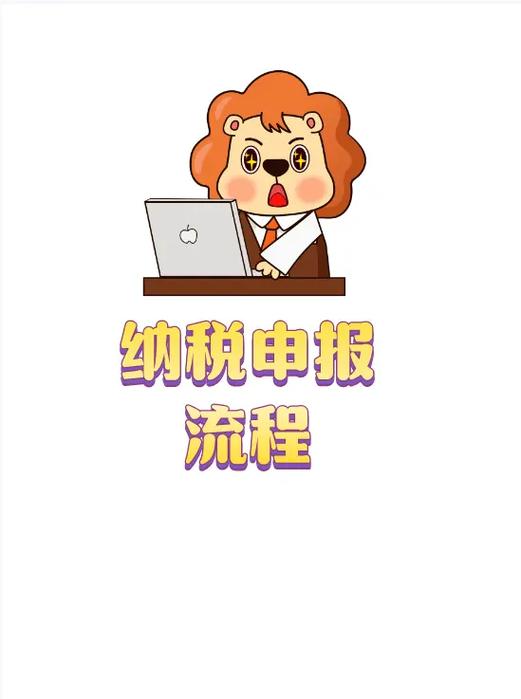 四川税务网上申报流程图标