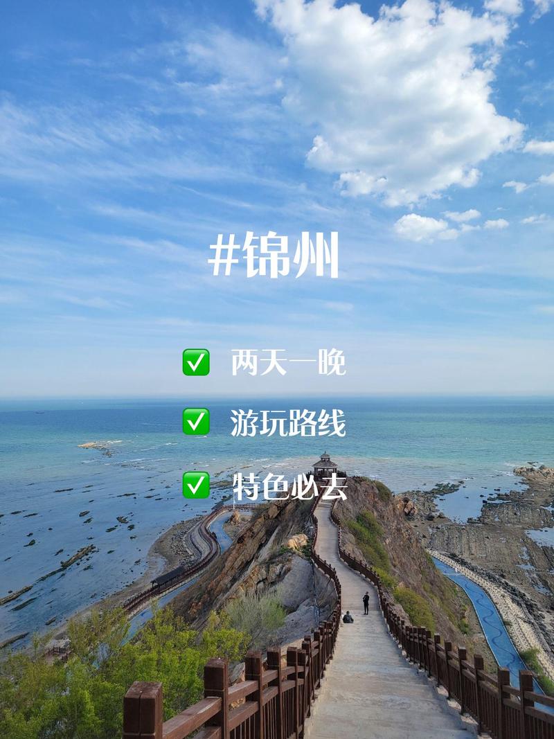 畅行锦州官网图标