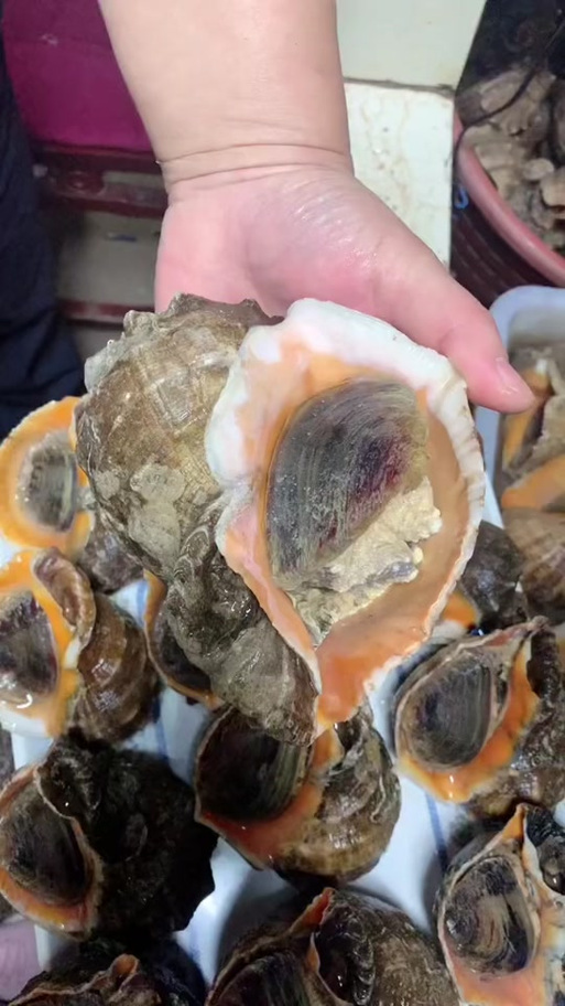 海螺一斤几个图标