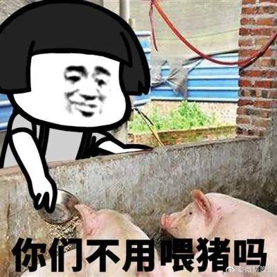 科学养猪表情包截图