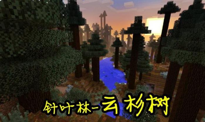 我的世界云杉树林坐标图标