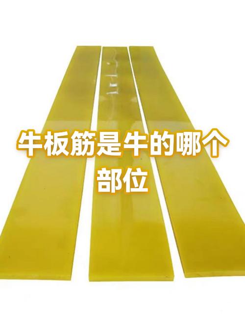 牛板筋是牛部位图解图标