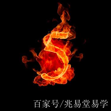 数字5在数字能量中代表什么图标