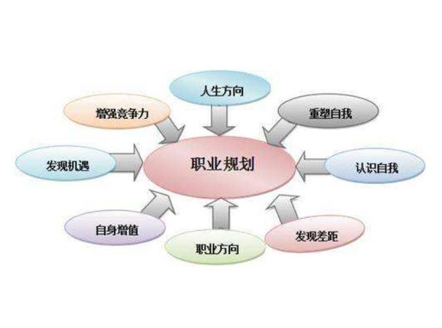 职业生涯的特点图标