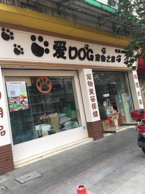 宠物之家宠物店图标