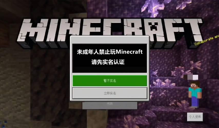 我的世界跳过防沉迷图标