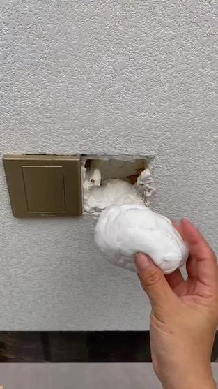 墙洞是什么截图