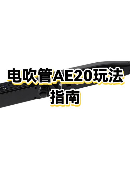 罗兰ae20电吹管入门教程截图