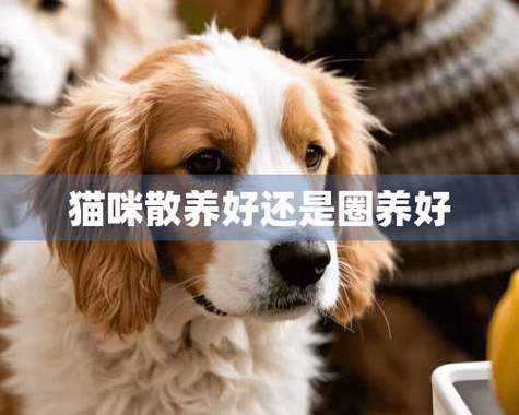 猫圈养好还是散养好图标