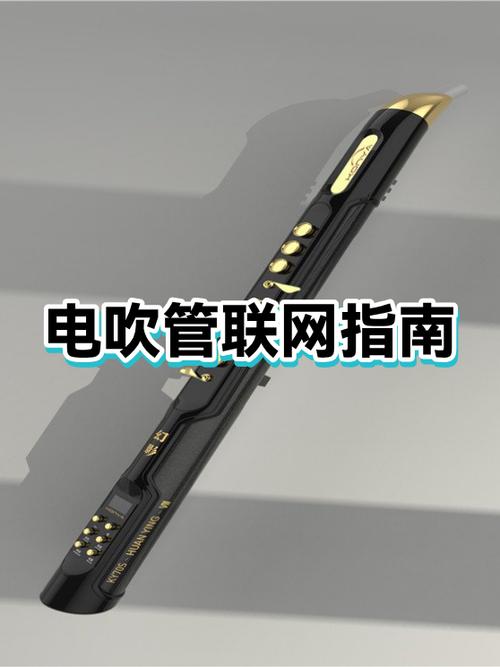 电吹管软件下载截图
