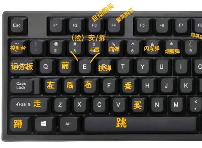 剑网三七秀键位截图