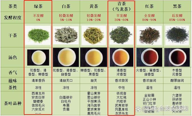 绿茶茶叶黑色与绿色的区别图标