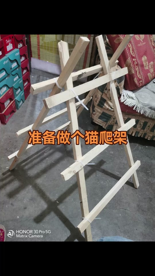 自制猫梯子图标