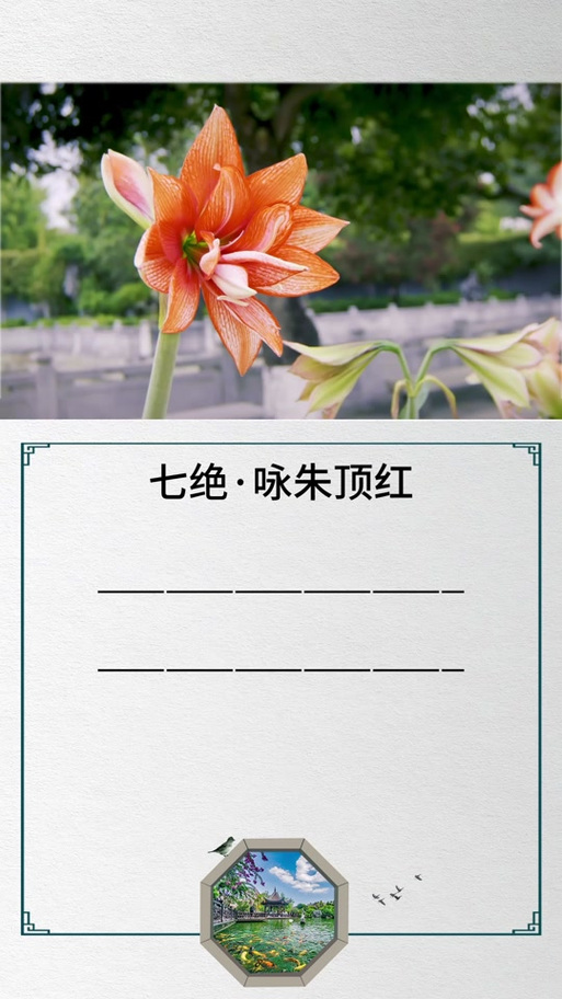 红掌花七绝诗图标