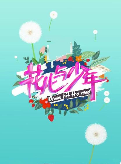 花儿与少年图标