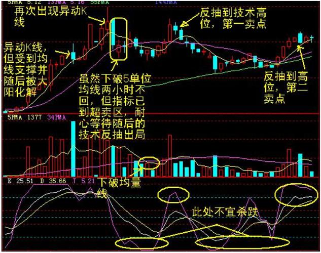 股票集合竞价异动是什么意思截图
