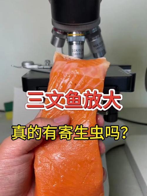 三文鱼能吃吗图标