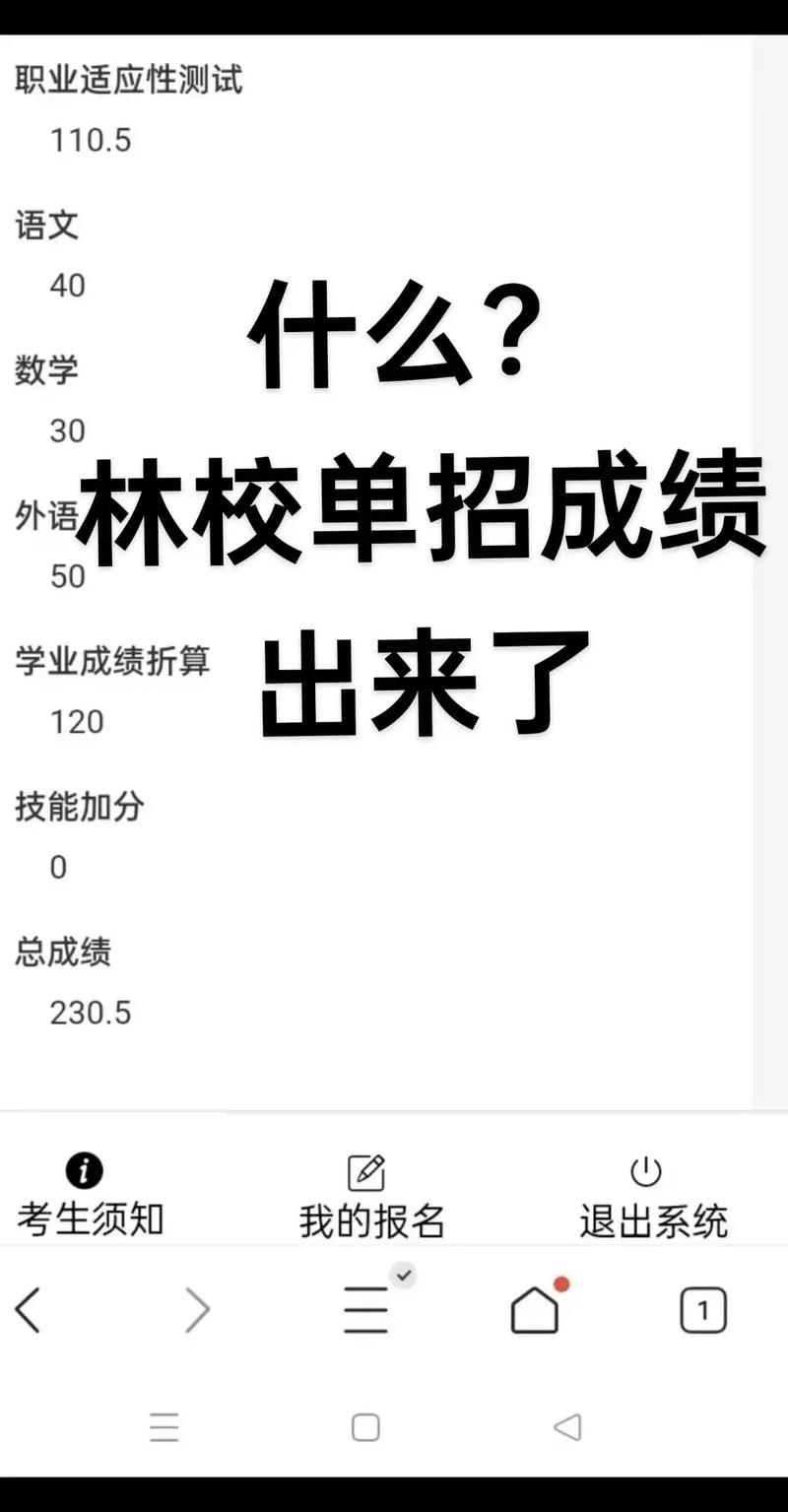 林校查成绩截图
